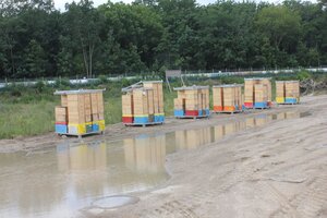 Bluestar Data Centre Data Center Files and PDFs