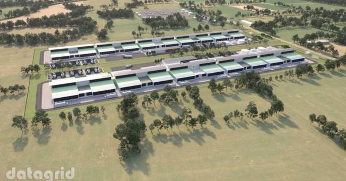 DataGrid to expand in New Zealand