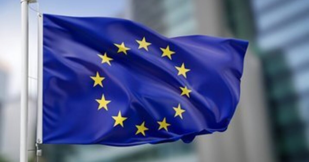 Dutch economy minister floats idea of EU chips coalition
