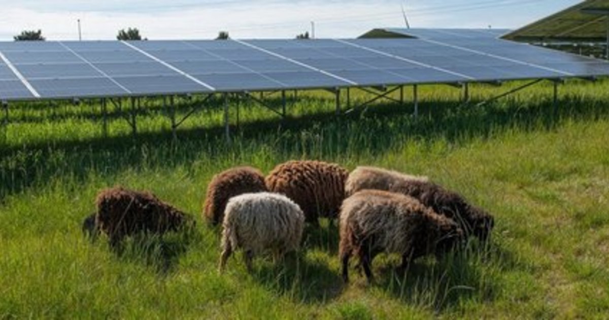 LCL to deploy more solar panels at its data center in Gembloux LCL to deploy more solar panels at its data center in Gembloux