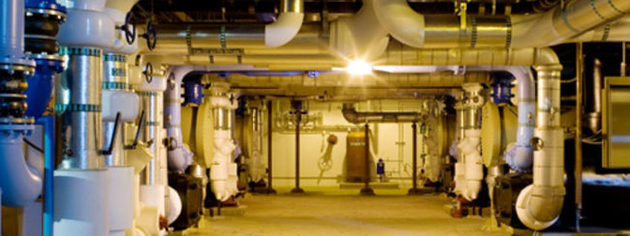 Stack installs beehives at data center campus in Milan