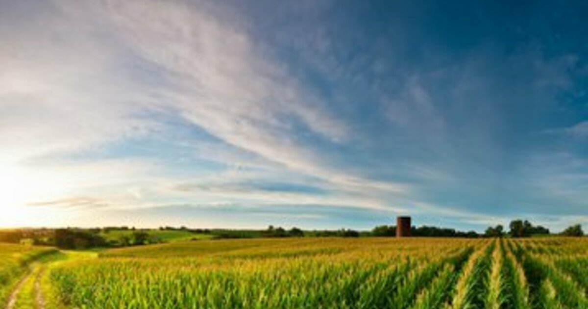 US Cellular to use Ericsson routers for rural 5G network expansion