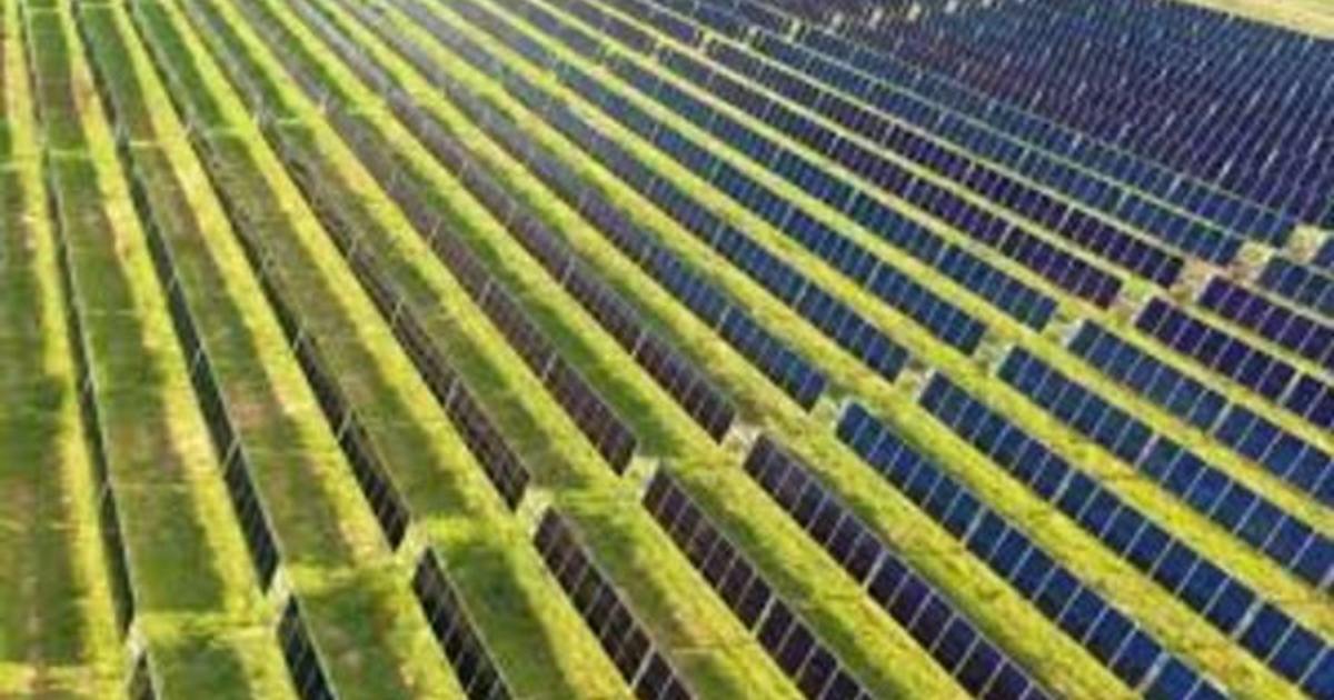 Work begins on solar farm that will power Meta's Tennessee campus